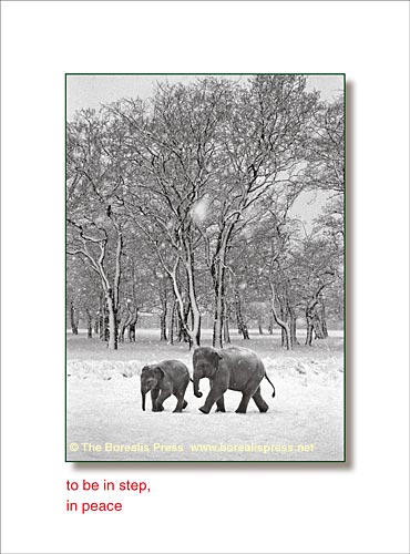 Christmas Card 543x - The Borealis Press, Inc.