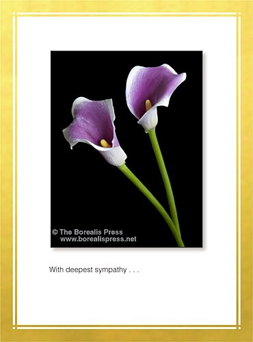 With deepest sympathy... : Borealis Press Gold Sympathy Card